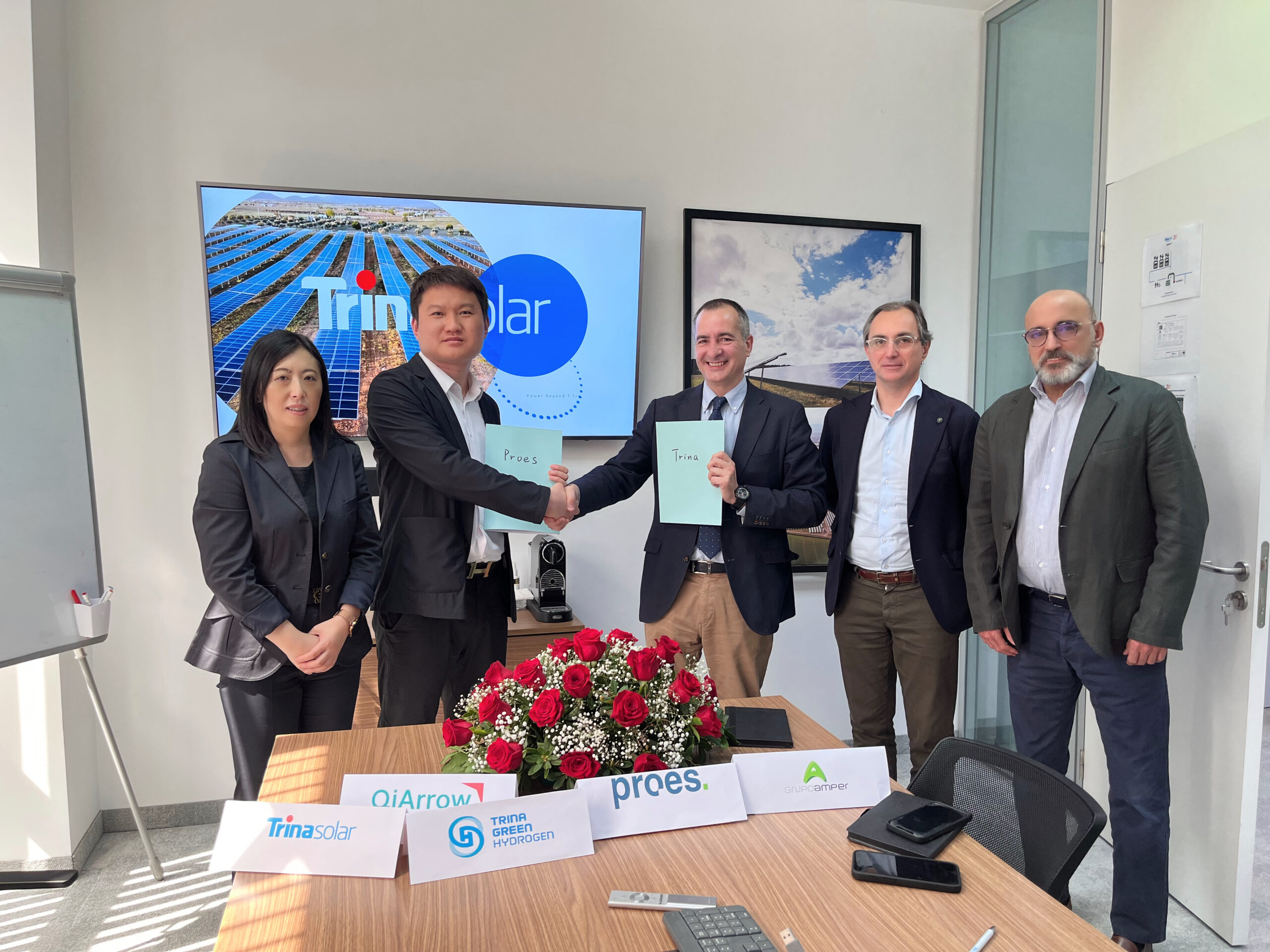Trina Green Hydrogen and Proes Consultores, a subsidiary of the Amper ...